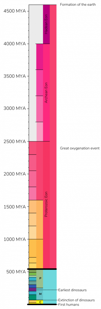 Montessori History: Clock of Eras and Geologic Time Scale